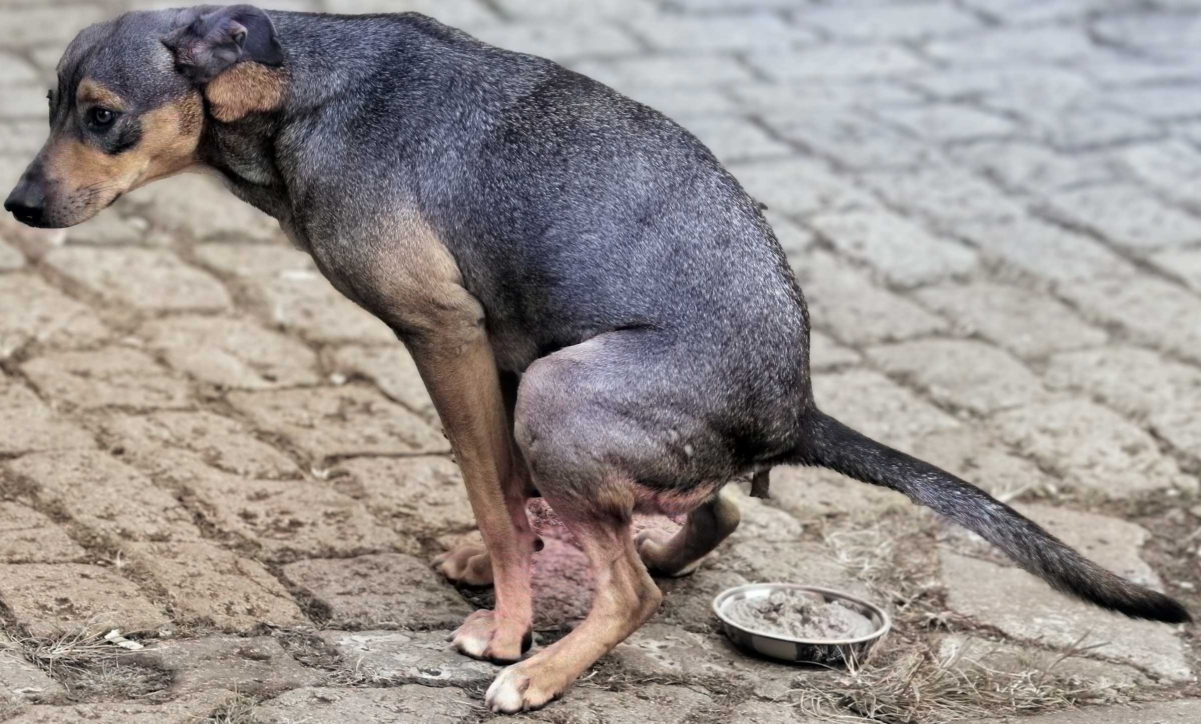 Recipe: Gruel begs for your personal touch – L.T. Hanlon