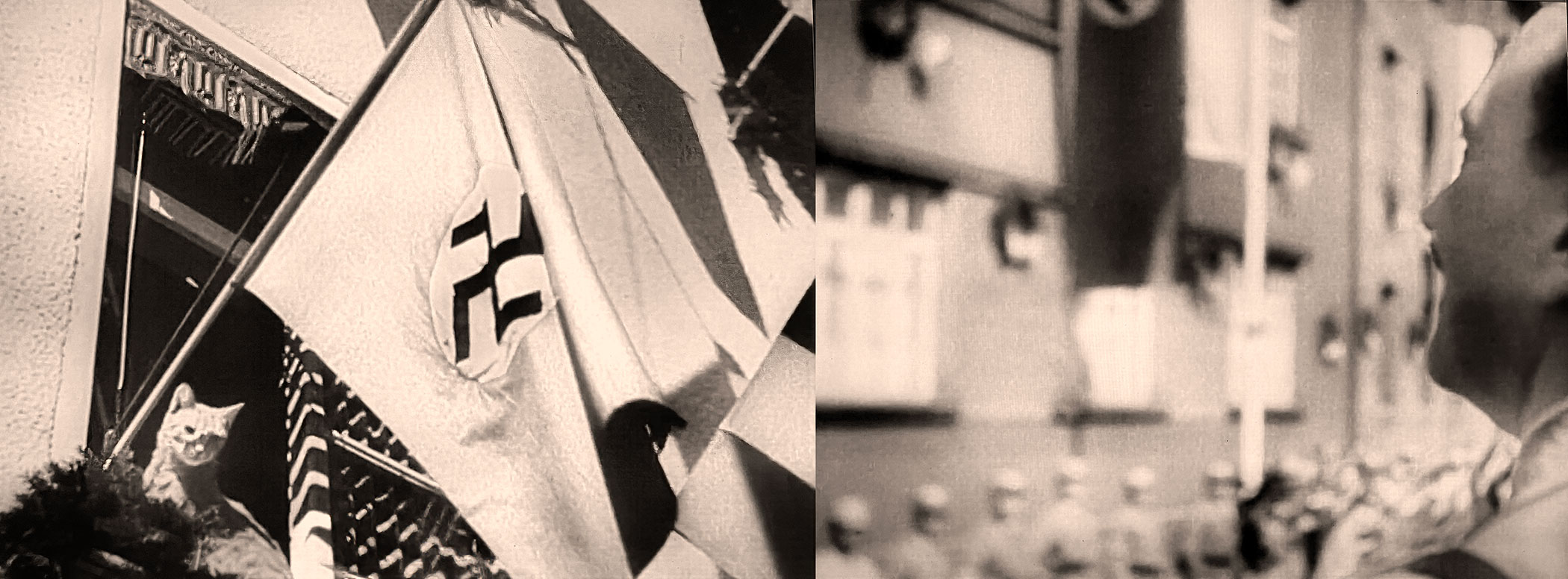 Hitler, a cat, and the allure of deceptive beauty – L.T. Hanlon